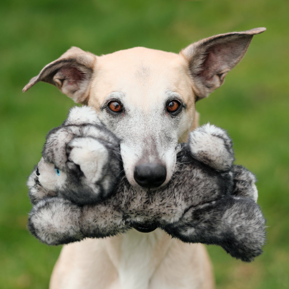 Fluff & Tuff Blanca Wolf - Carlsbad, CA - Village, CA - Vista, CA ...